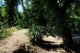 ScopriRete | [Fiume Rubicone